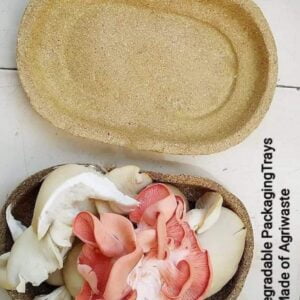 Biodegradable Vegetable Packaging Tray – Biotech Era Transforming India